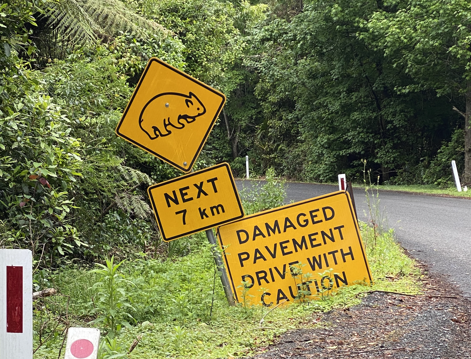 FABULOUS SOUTH COAST LOOP RIDE - Road Rider Magazine